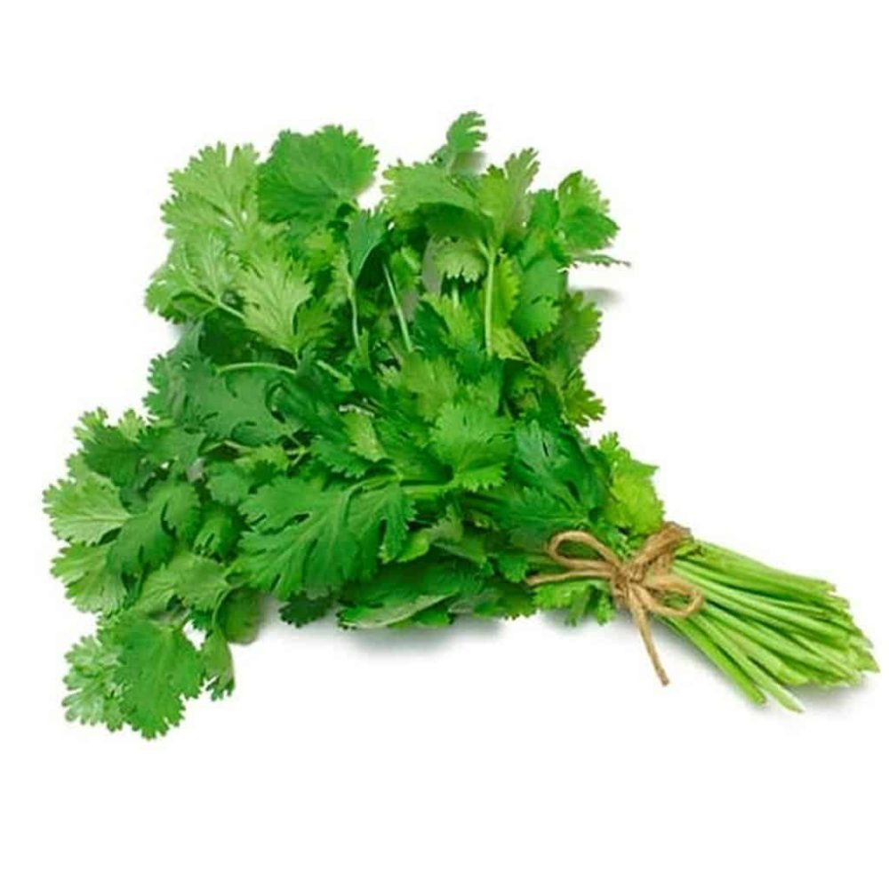 Coriander 100g | Veg and More Fruit and Veg